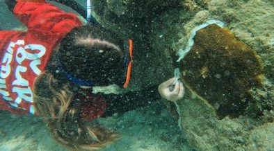 Kayaking Puerto Rico, DNER partner to rescue Culebra’s coral reefs ...