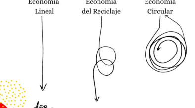 Auralís Studio launches courses in sustainable design - News is My Business