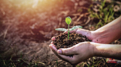 Puerto Rico’s agricultural production grows to $703M in 2022 - News is ...